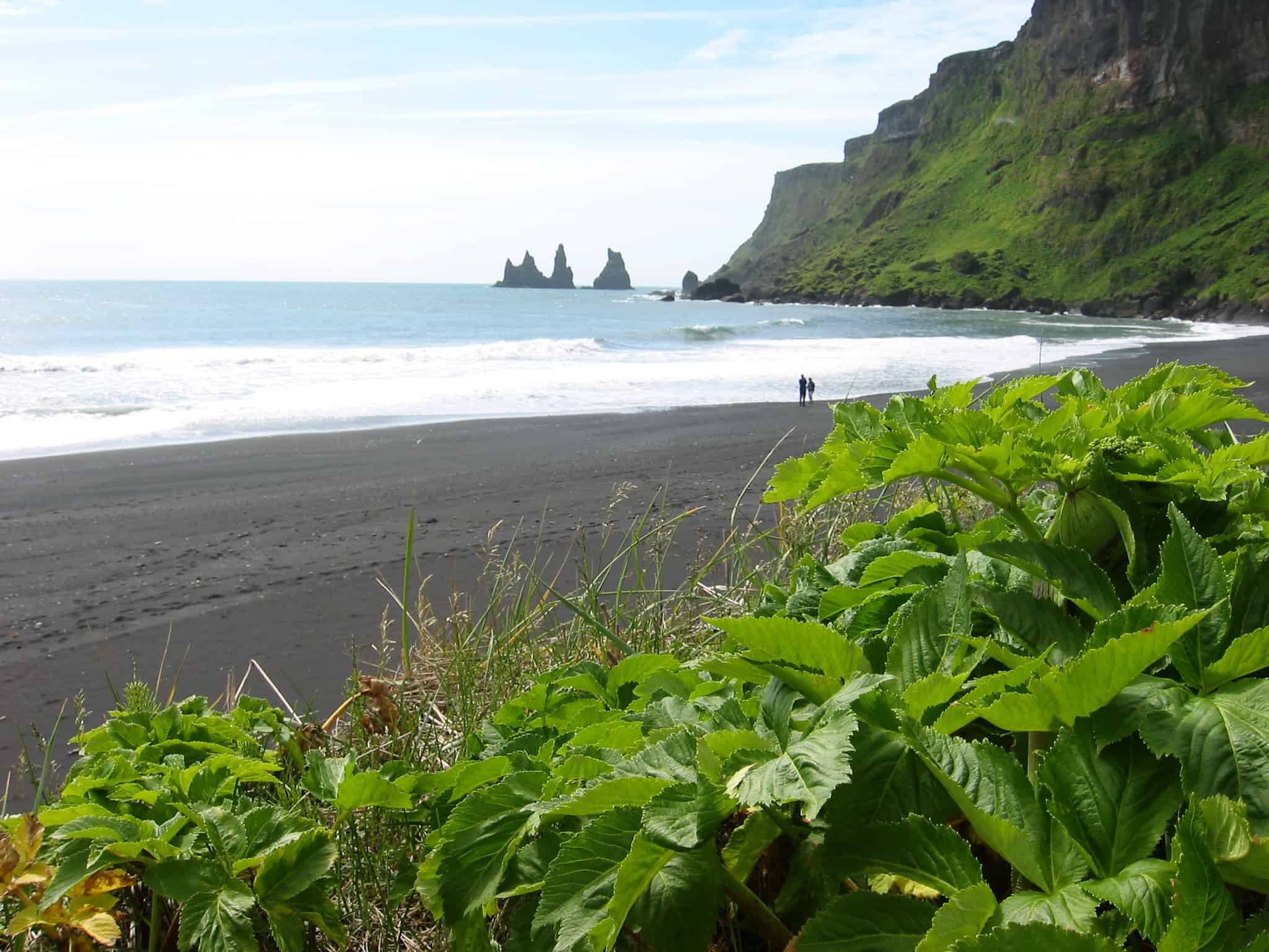Reynisdrangar basalt sea cliffs | South Iceland | Iceland Travel