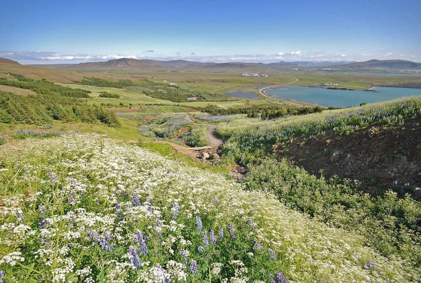The prominent Mount Esja | Reykjavik Area | Iceland Travel