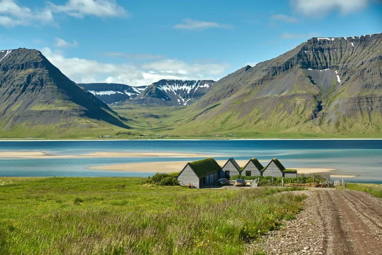 Haafell farm - a goat sanctuary | West Iceland | Iceland Travel